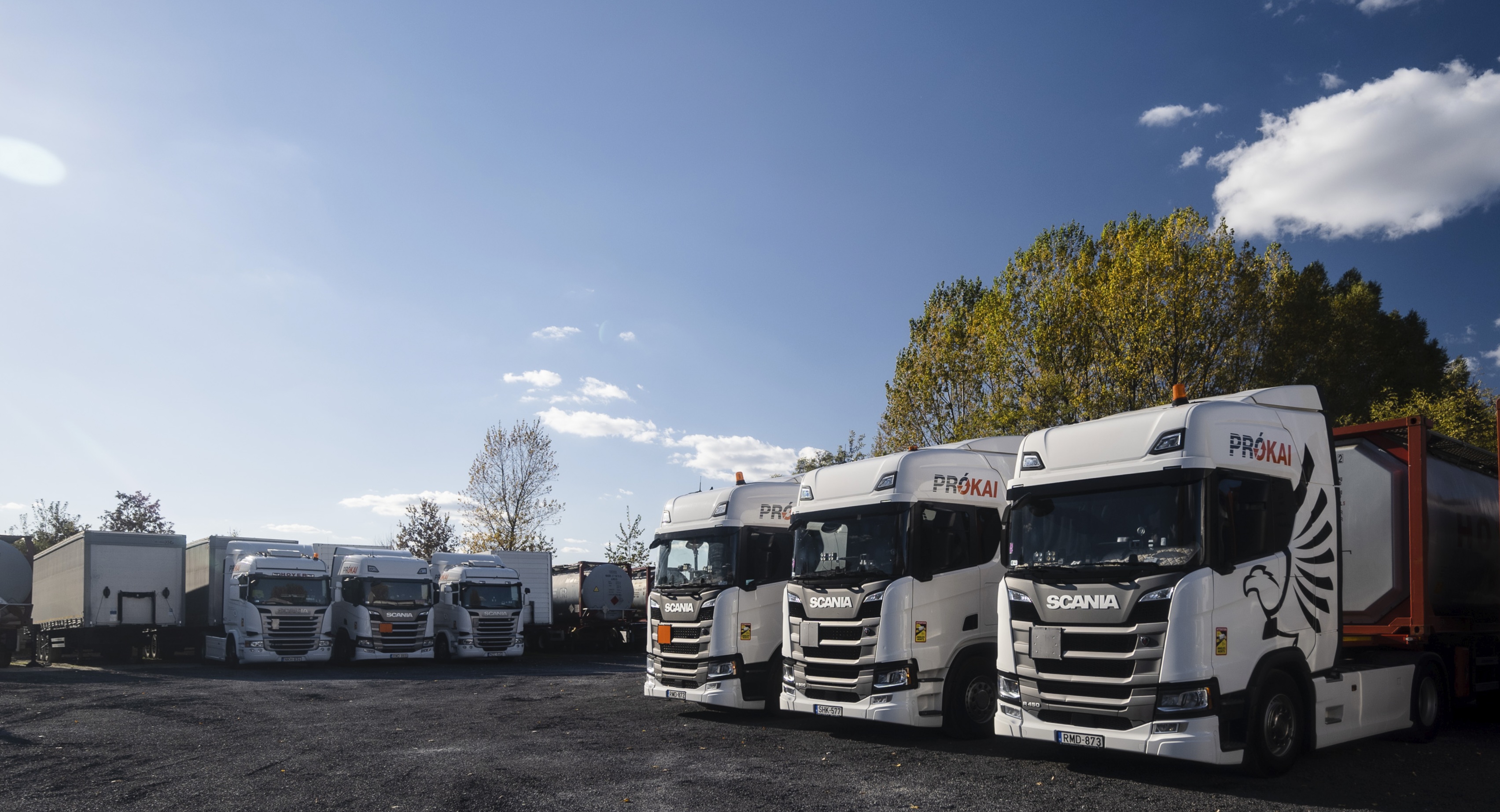 Sofőr állás - A Prókai Transport Kft nemzetközi tehergépjárművezető ...